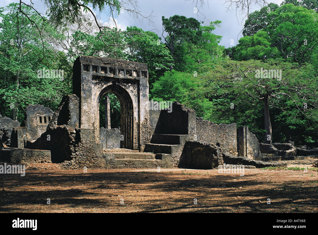 Gedi ruins Kenya coast East Africa Stock Photo - Alamy