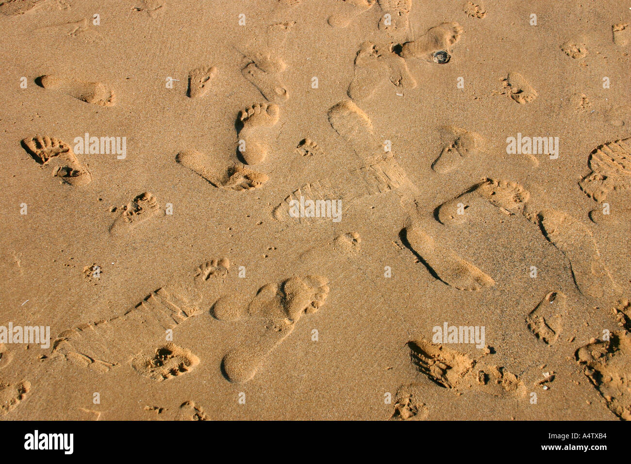 Footprints in the sand Stock Photo - Alamy