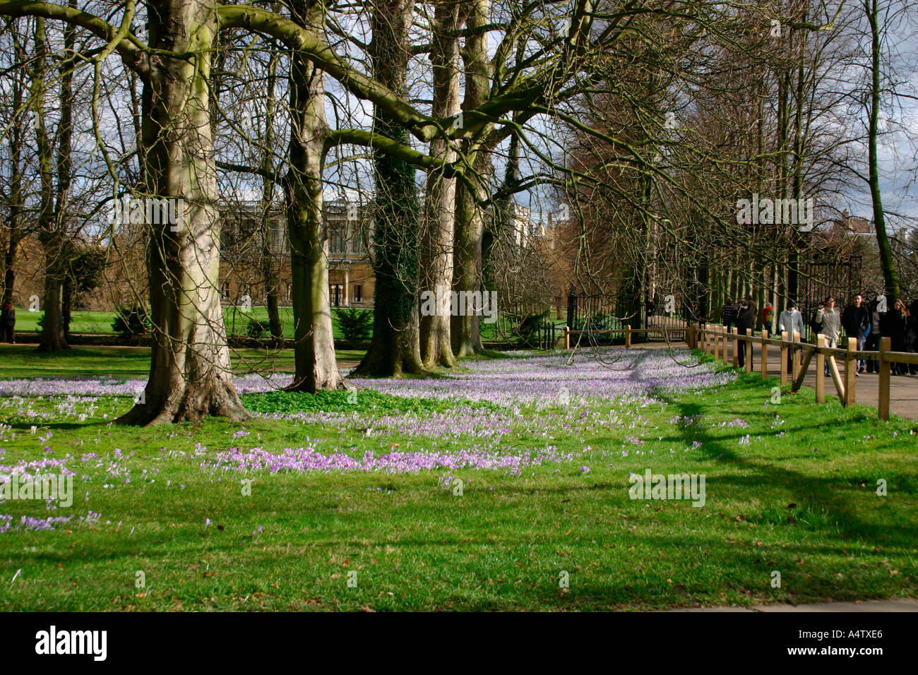 Cambridge town flowers hi-res stock photography and images - Alamy