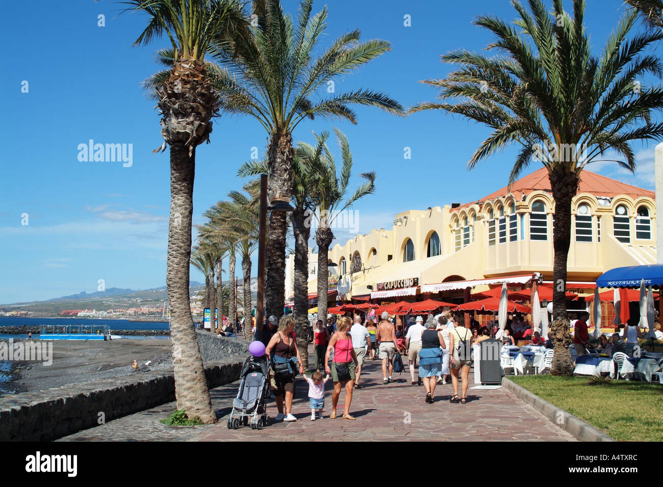 Palm tree lined promenade at Playa de Las Americas southern Tenerife ...