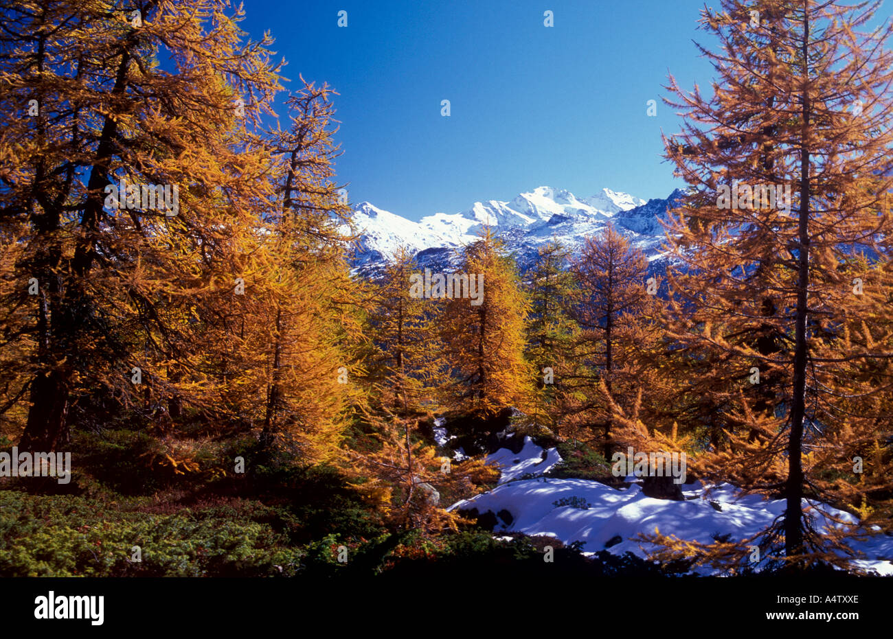 Lagginghorn hi-res stock photography and images - Alamy