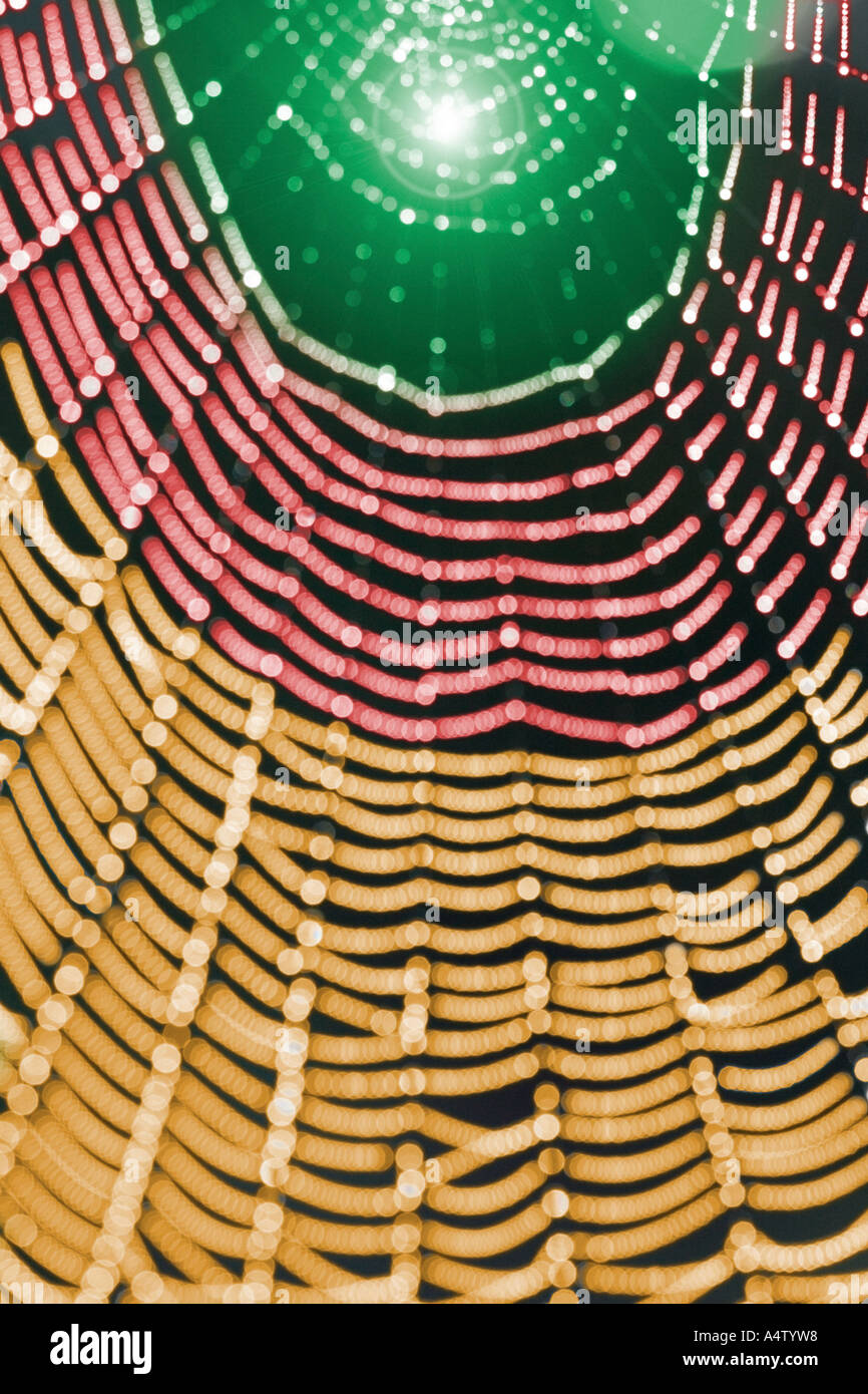 Multi Coloured Garden Spider Web Stock Photo - Alamy