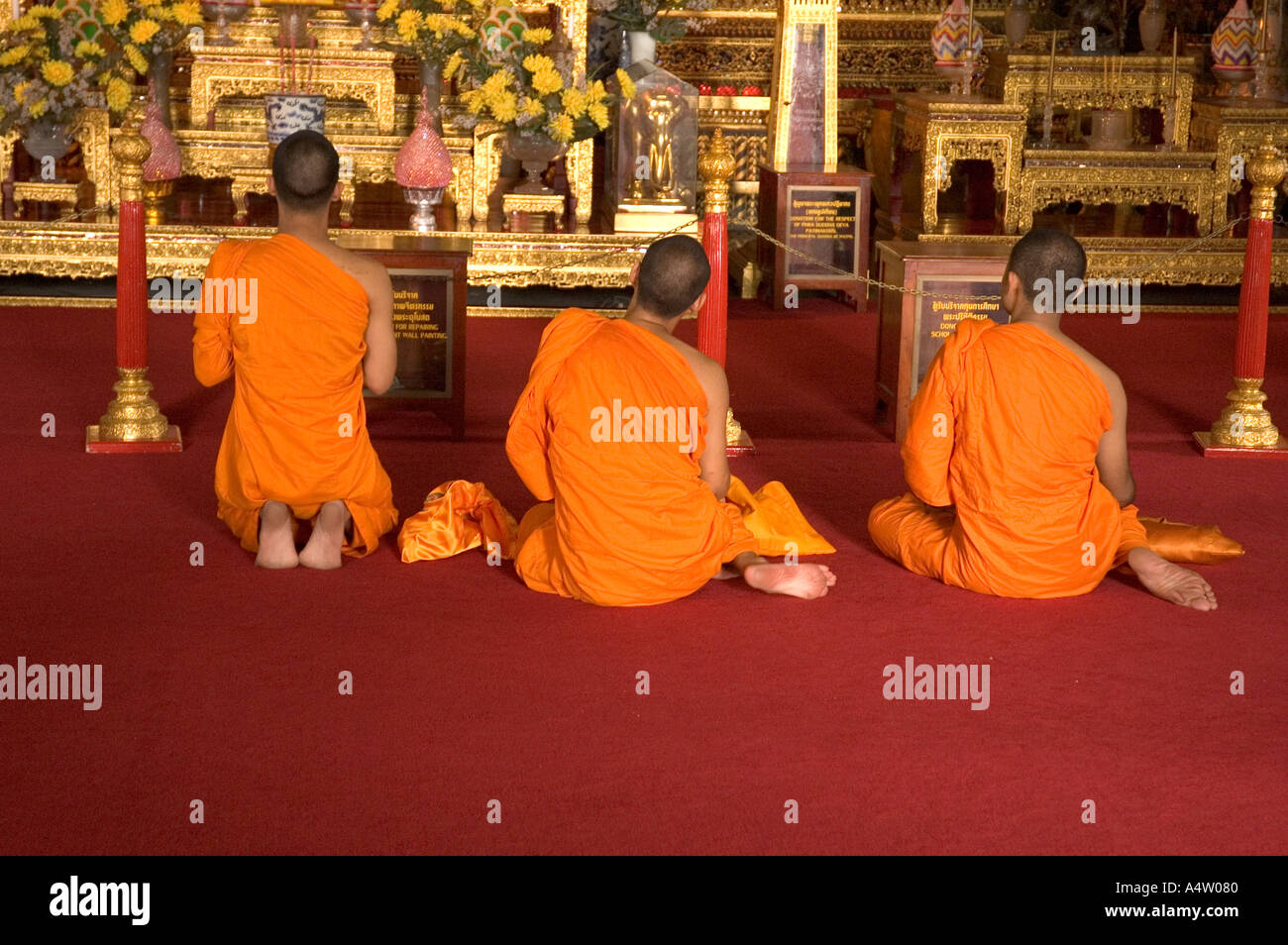 Pang mu hi-res stock photography and images - Alamy