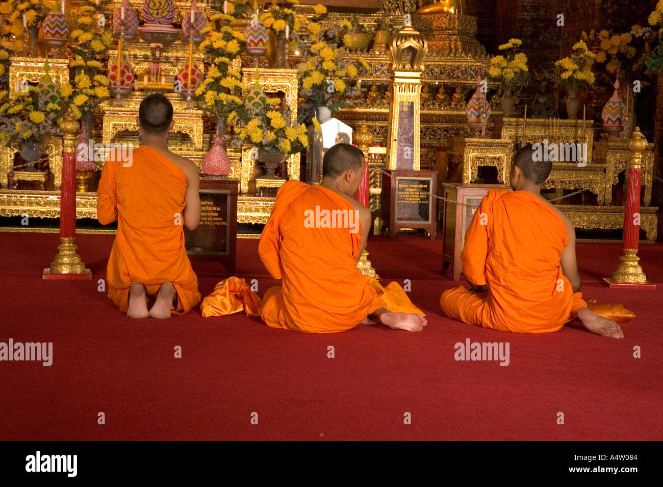 Mu sang hi-res stock photography and images - Alamy