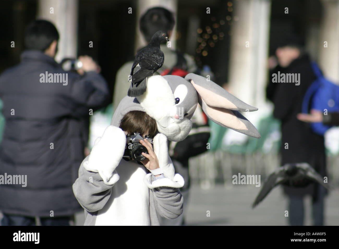 Bugs bunny cartoon hi-res stock photography and images - Alamy