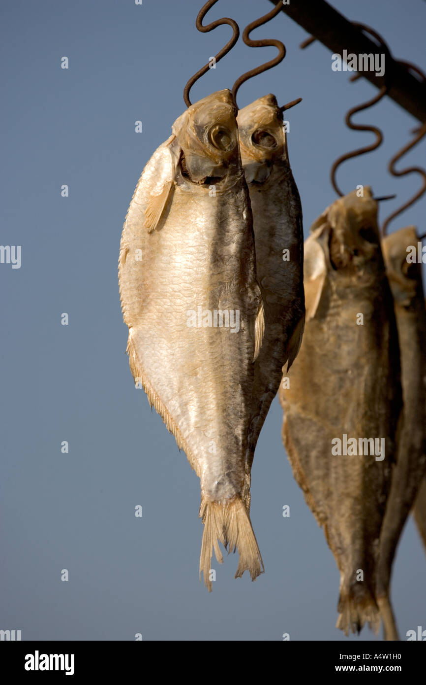 Dried Fish Display Macau Stock Photo - Alamy