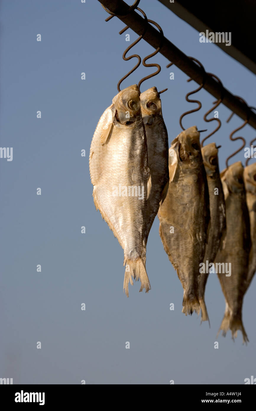 Dried Fish Display Macau Stock Photo - Alamy