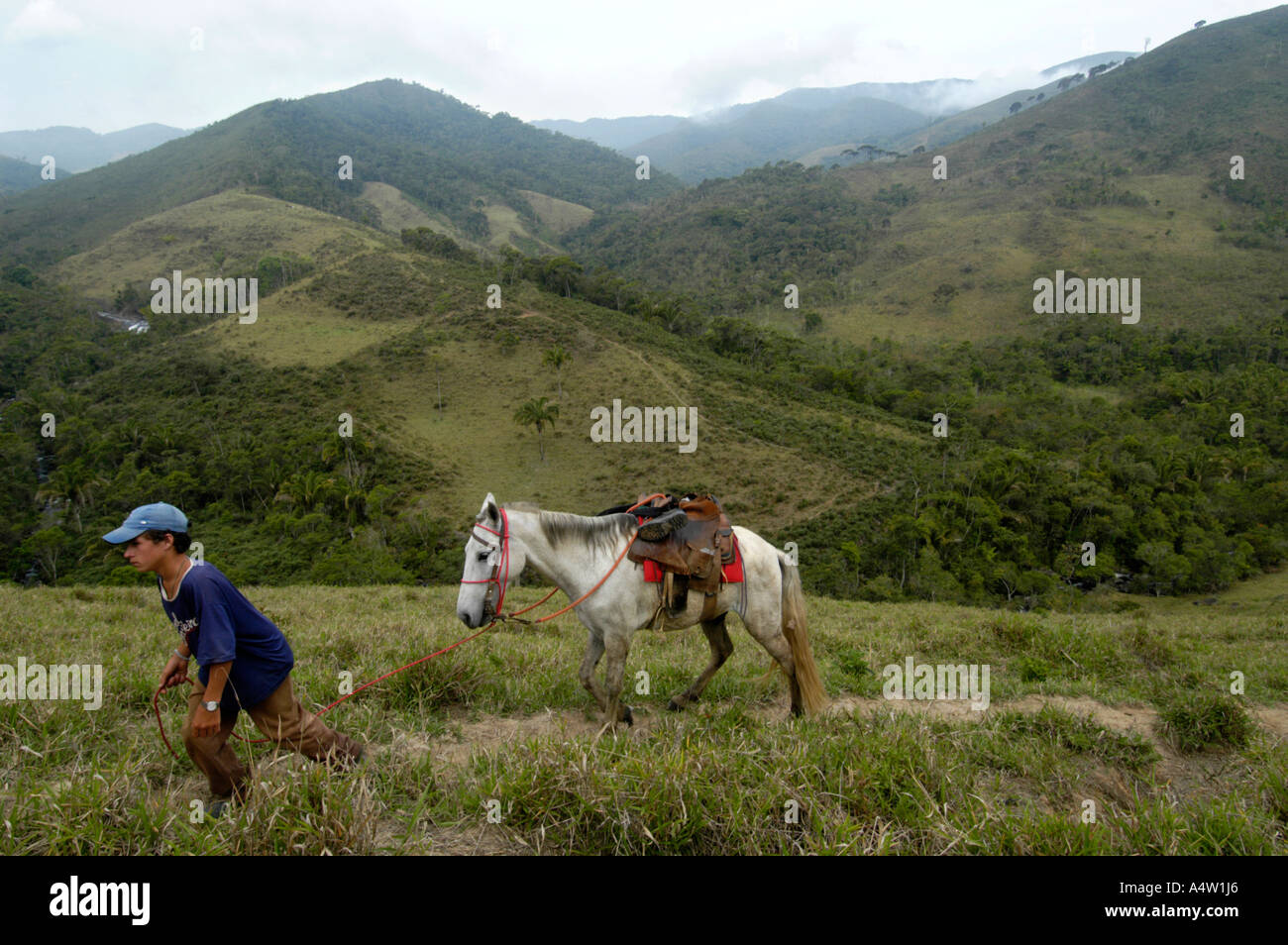 Pony boy hi-res stock photography and images - Alamy