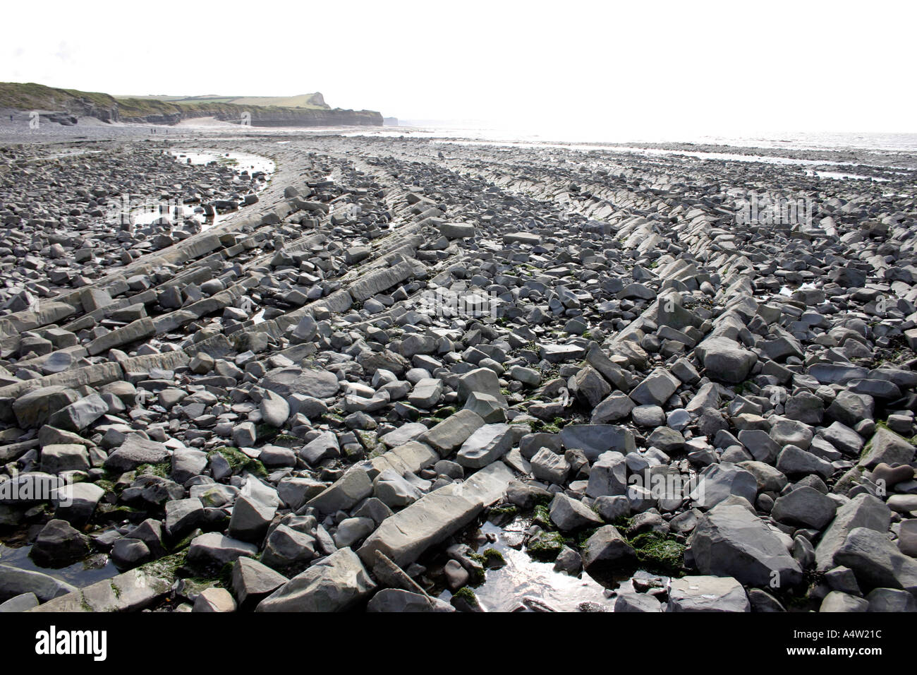 Limestone platforms on Kilve Beach Somerset England Stock Photo - Alamy
