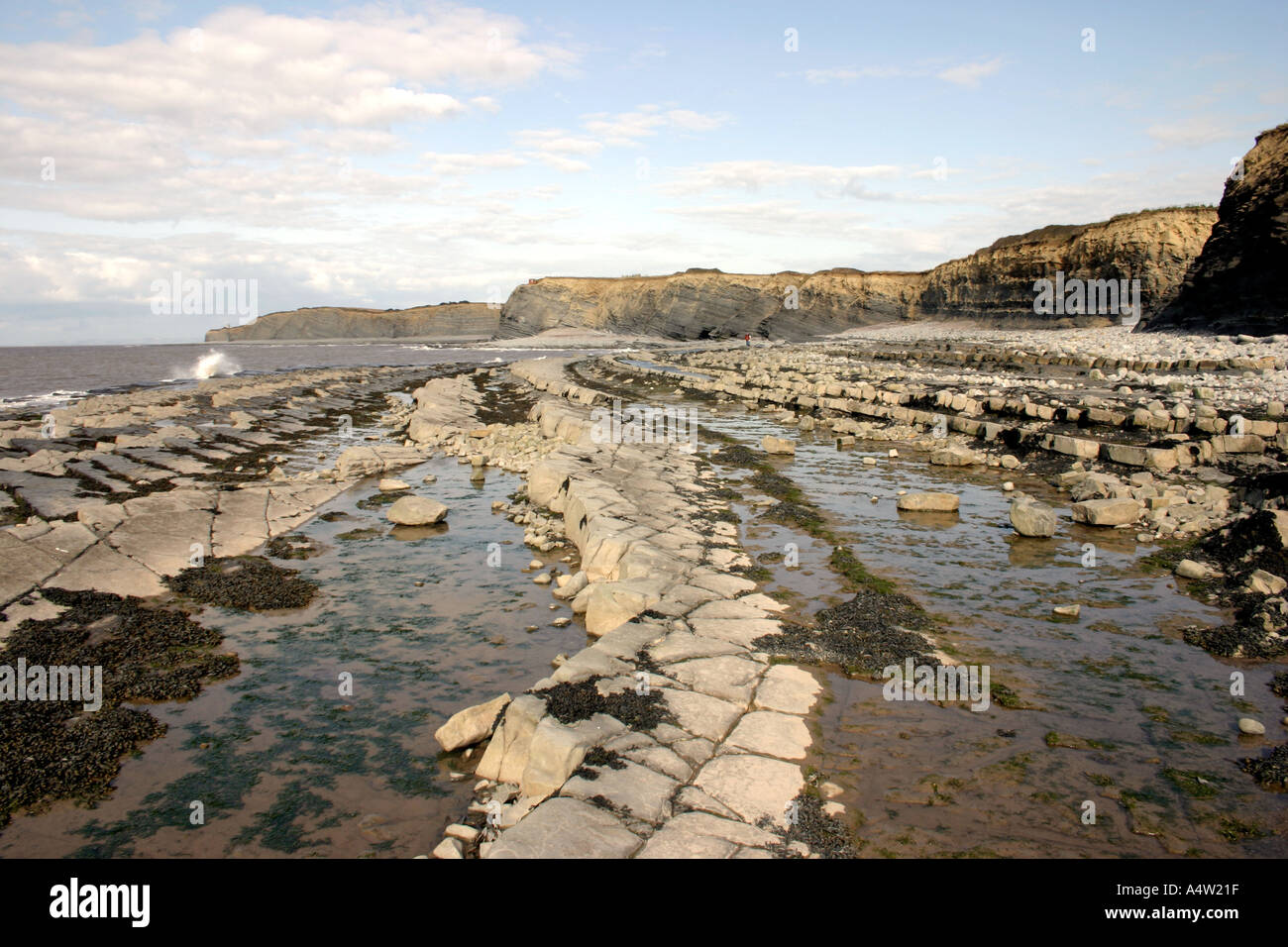 Limestone platforms on Kilve Beach Somerset England Stock Photo - Alamy