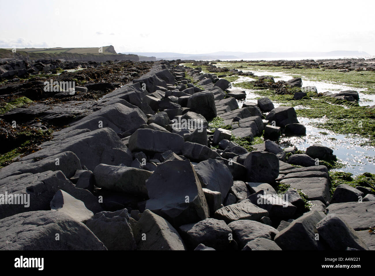Limestone platforms on Kilve Beach Somerset England Stock Photo - Alamy