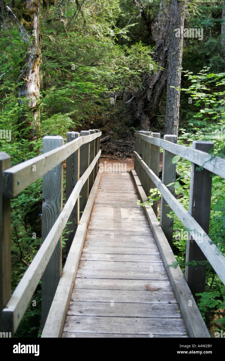 Foot bridge and path through the forest Stock Photo - Alamy