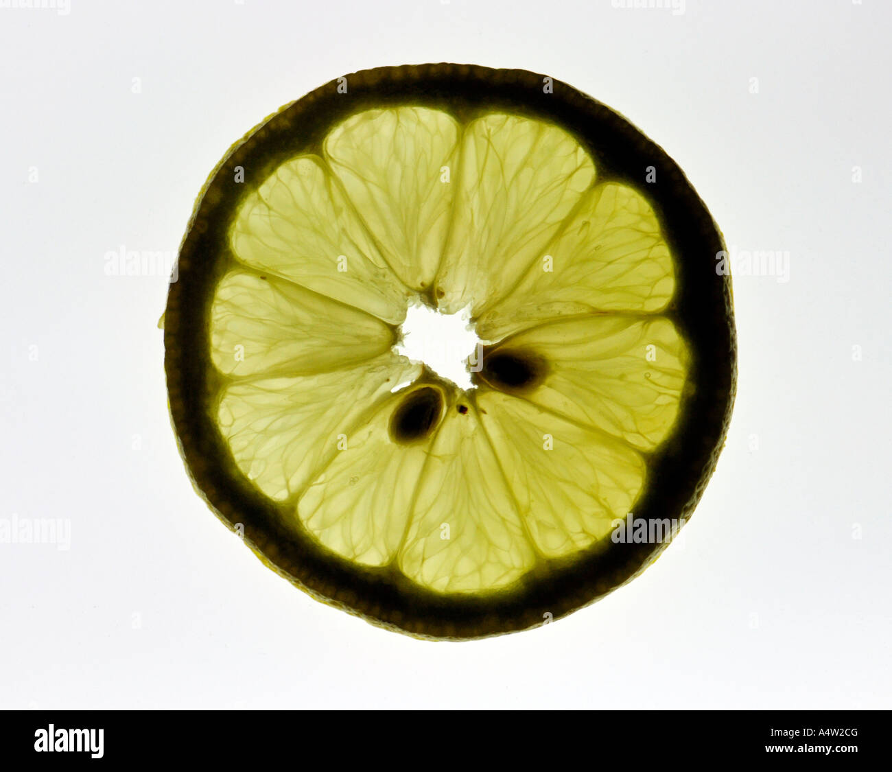 Lemon Section on Lightbox Stock Photo - Alamy