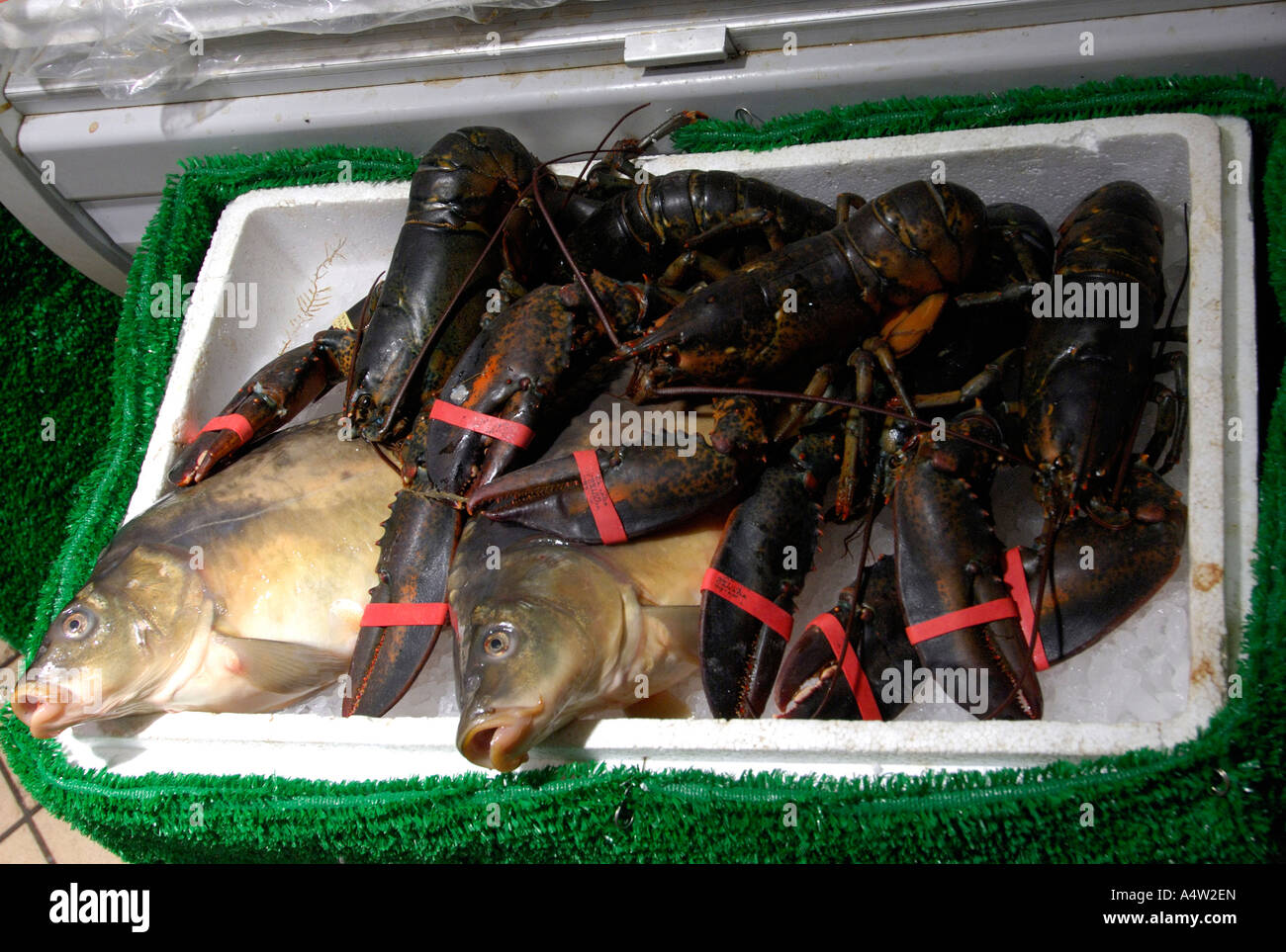 Covered market oxford fish hi-res stock photography and images - Alamy