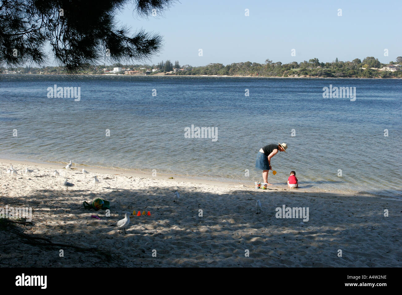 Point Walter on the Swan River Perth Western Australia Stock Photo - Alamy