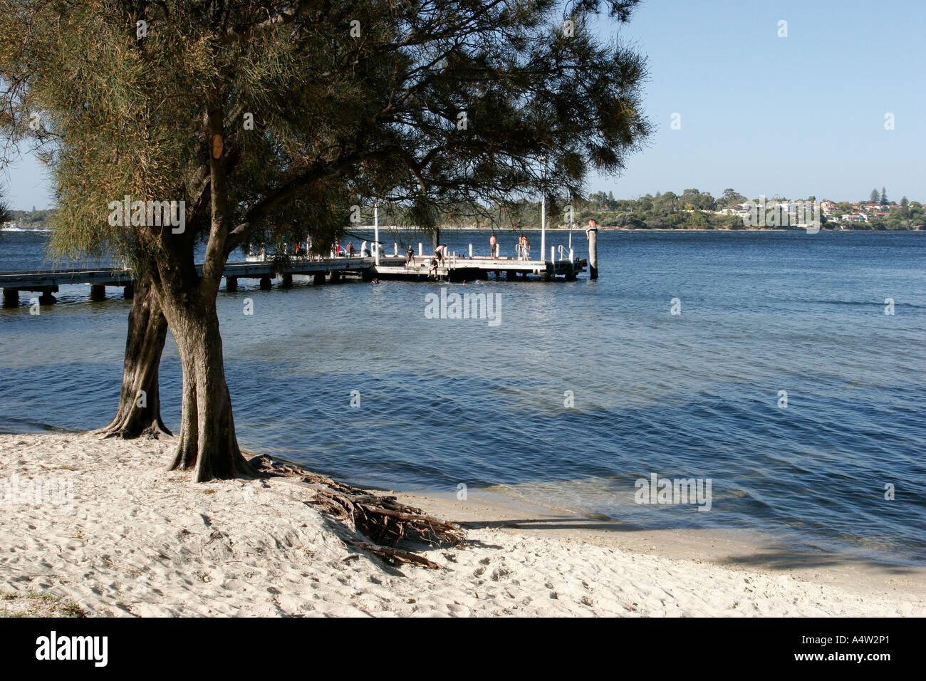 Point Walter on the Swan River Perth Western Australia Stock Photo - Alamy