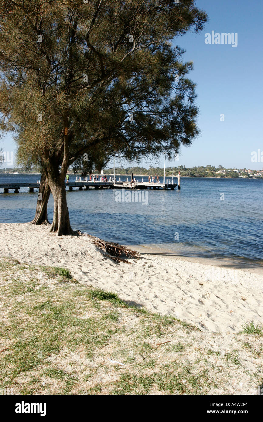 Point Walter on the Swan River Perth Western Australia Stock Photo - Alamy