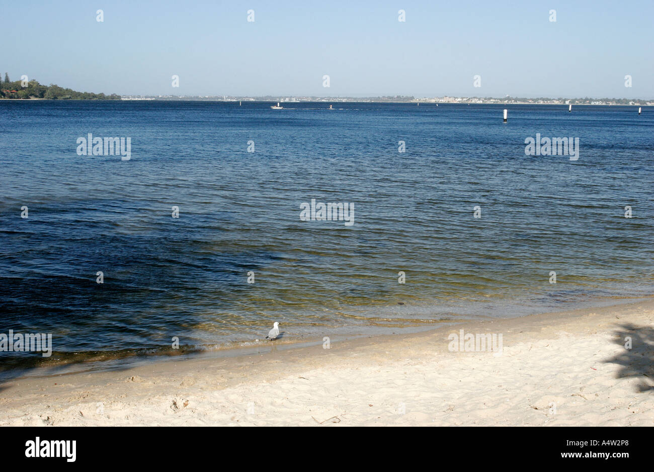 Point Walter on the Swan River Perth Western Australia Stock Photo - Alamy