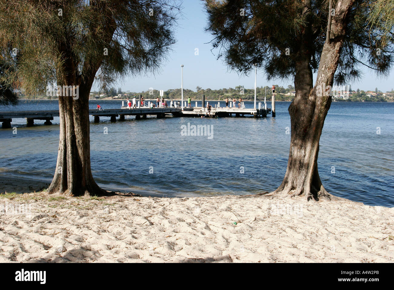 Point Walter on the Swan River Perth Western Australia Stock Photo - Alamy