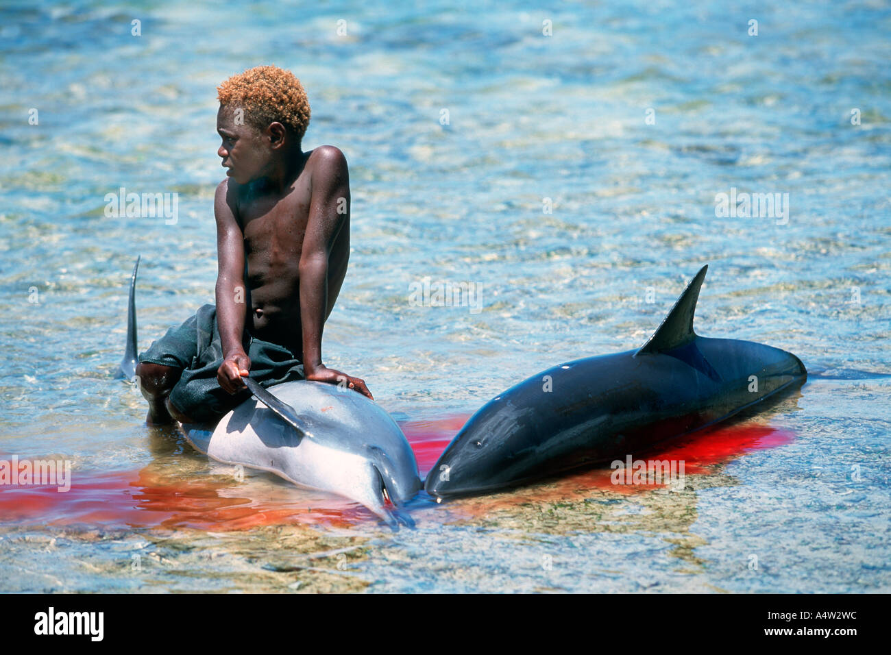 Micronesian men hi-res stock photography and images - Alamy