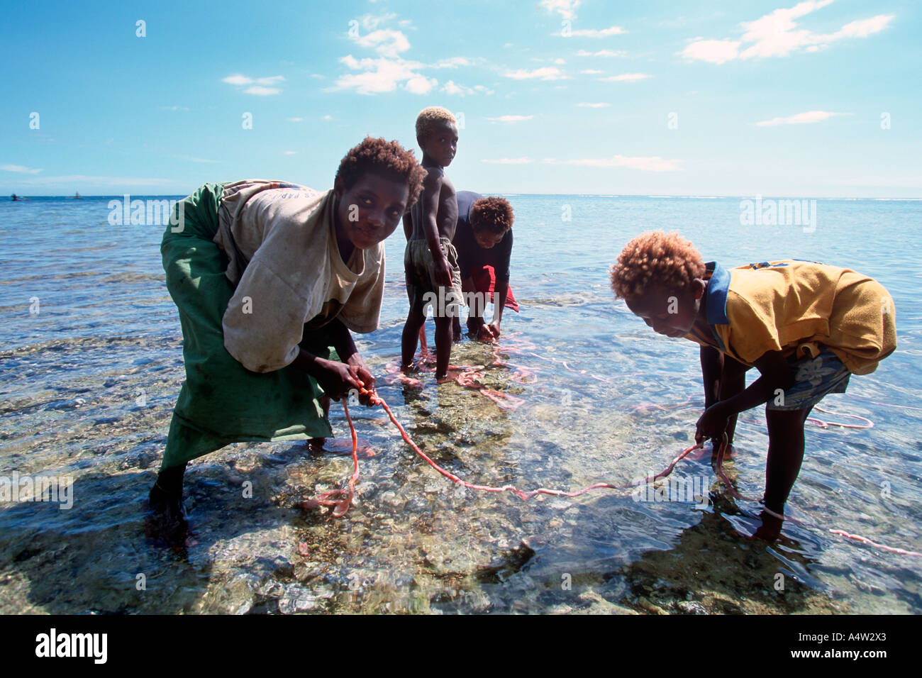 Girls from the village of Kontu clean a dolphins intestines in the reef ...
