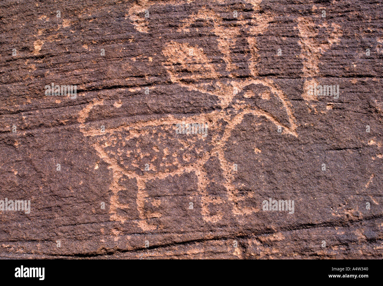 Close up of a native American rock drawing in Canyon de Chelly Arizona ...