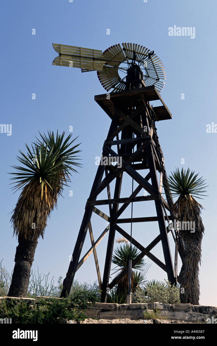 Old west cactus hi-res stock photography and images - Alamy