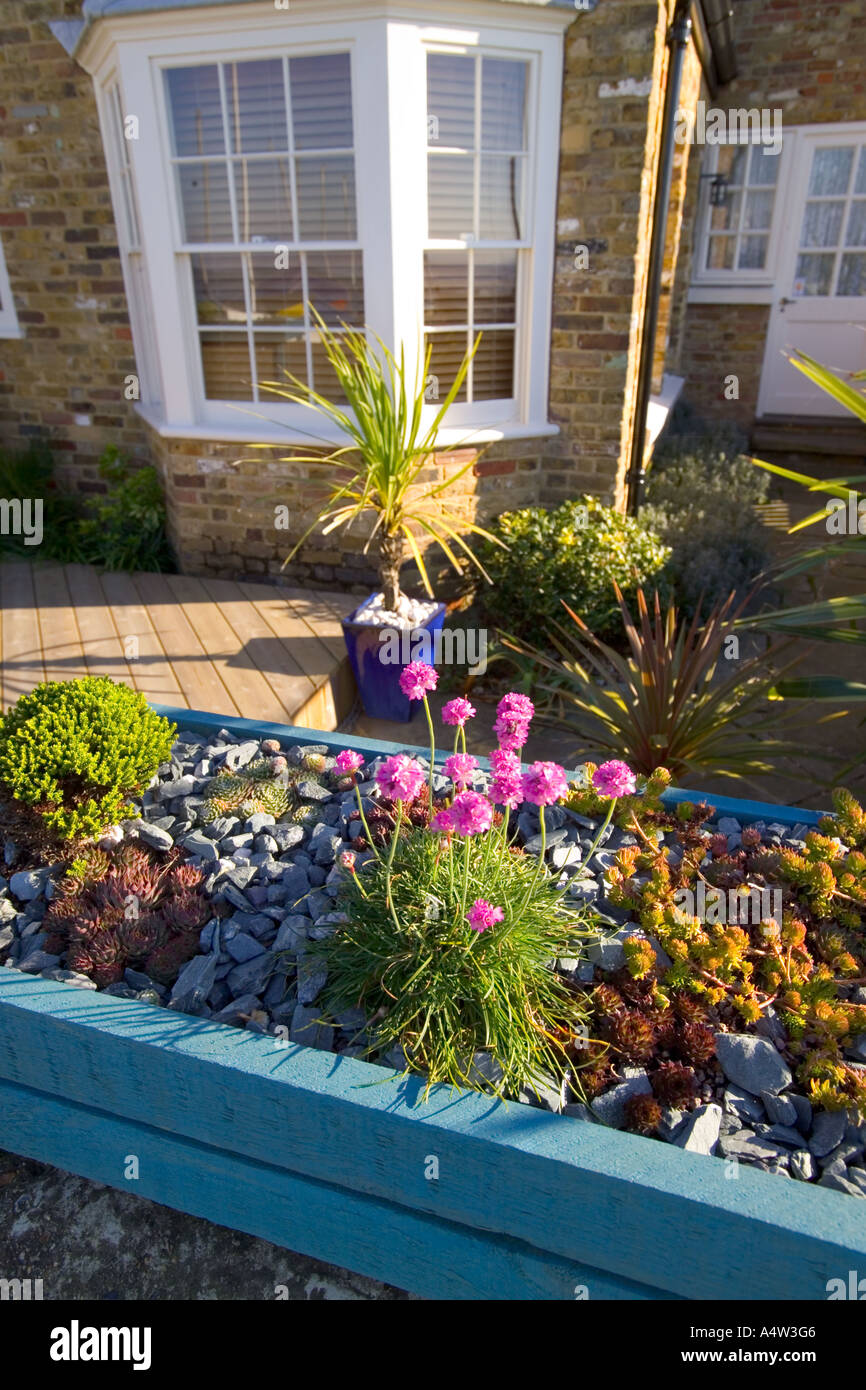 Garden and house in Whitstable Kent Stock Photo - Alamy