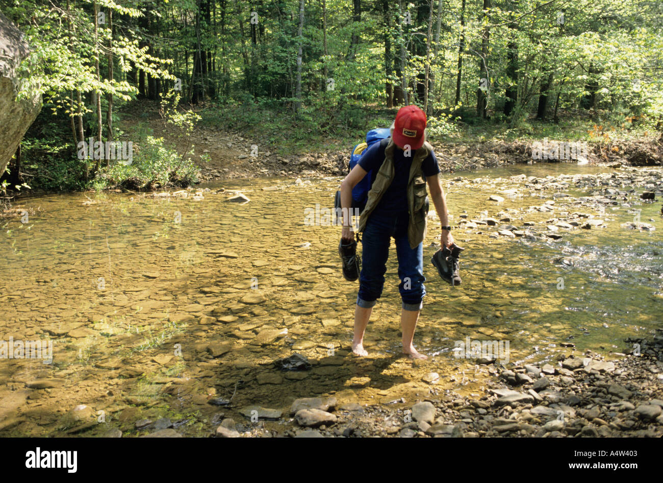 A backpacker crosses a river barefoot in the Big South Fork National ...