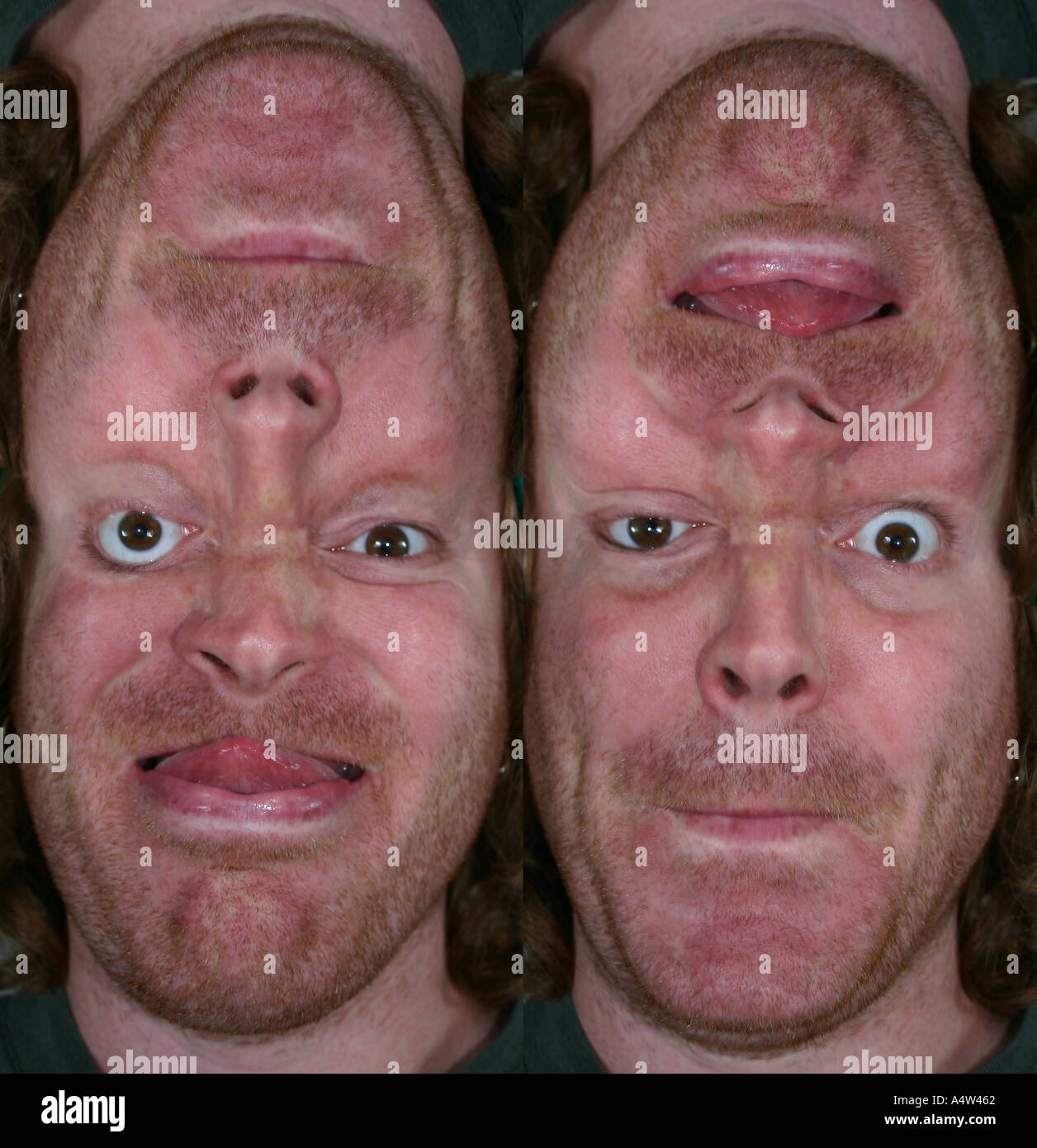 Two faced man Stock Photo - Alamy