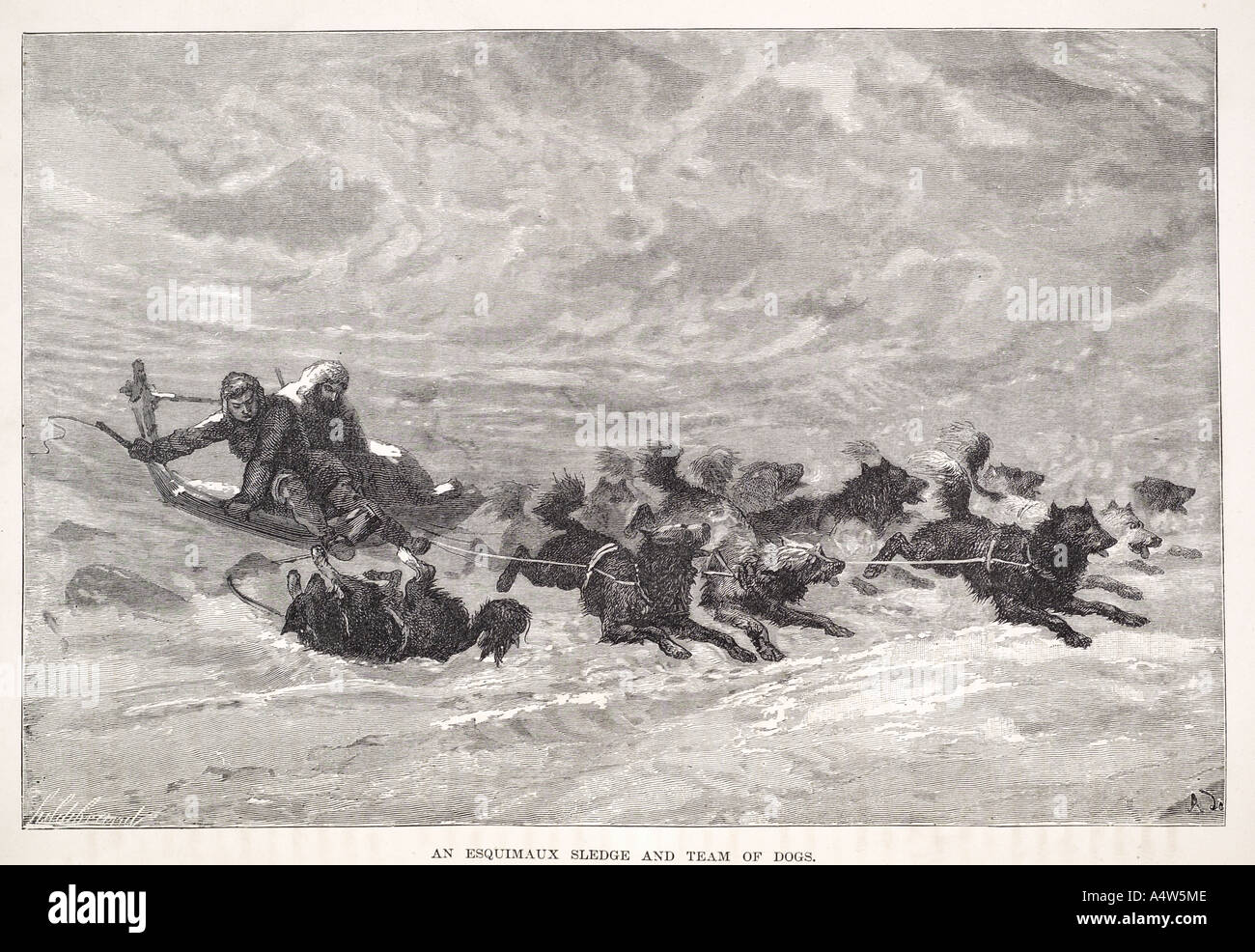 Eskimo Inuit native Canadian nomad nomadic ice snow harness train husky ...