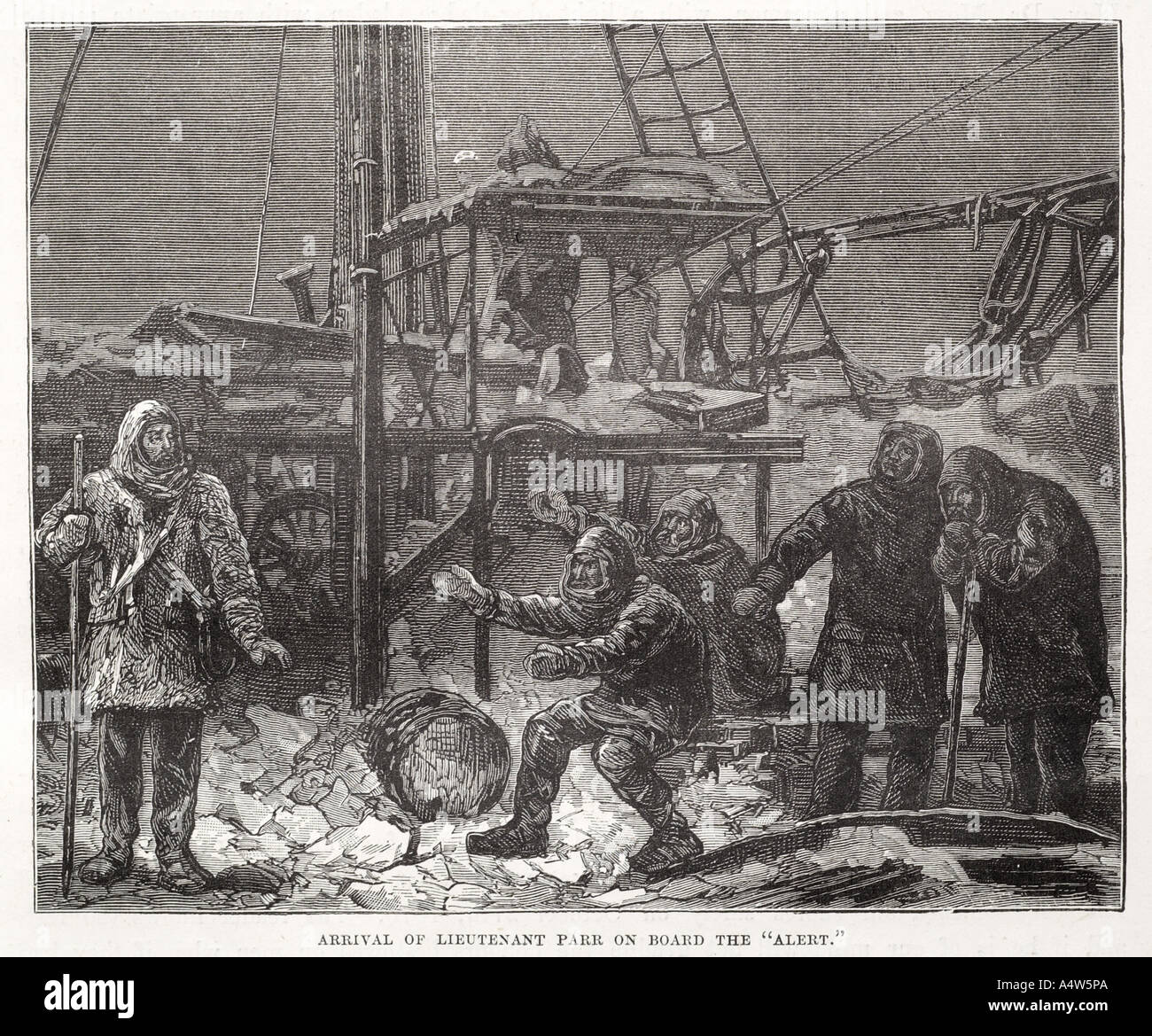 Fox glove drawing hi-res stock photography and images - Alamy