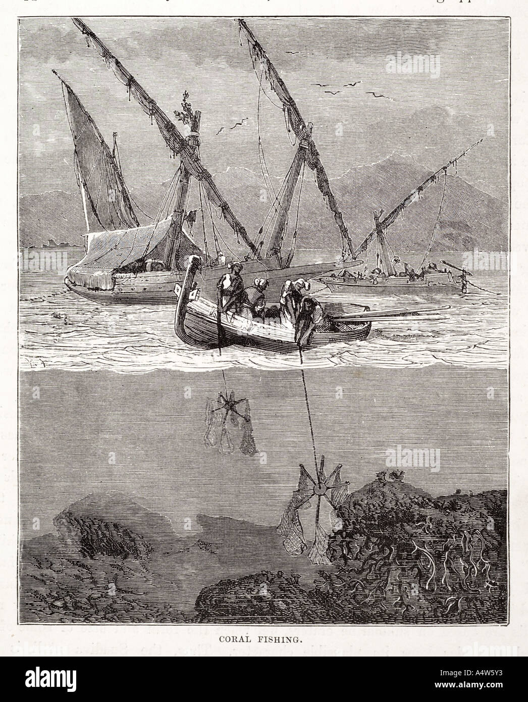 Coral dredging fish grapple Boat sail water coast reef bay cross ...