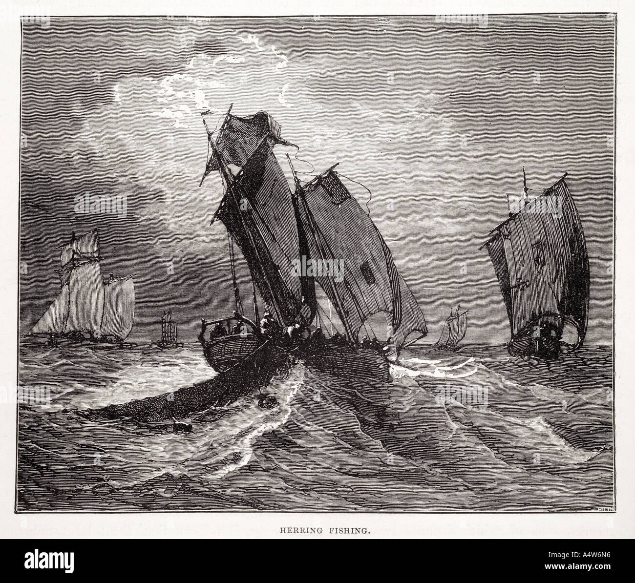 Fish net trawler catch hi-res stock photography and images - Alamy