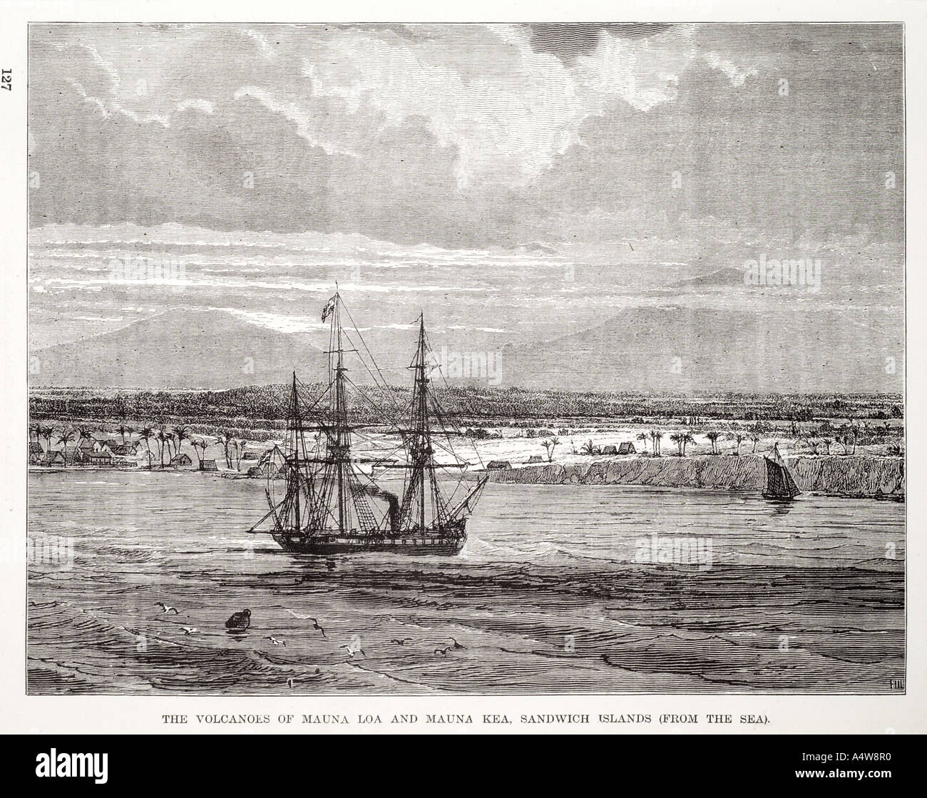 volcanoes mauna loa mauna kea sandwich islands pacific ocean volcanic ...