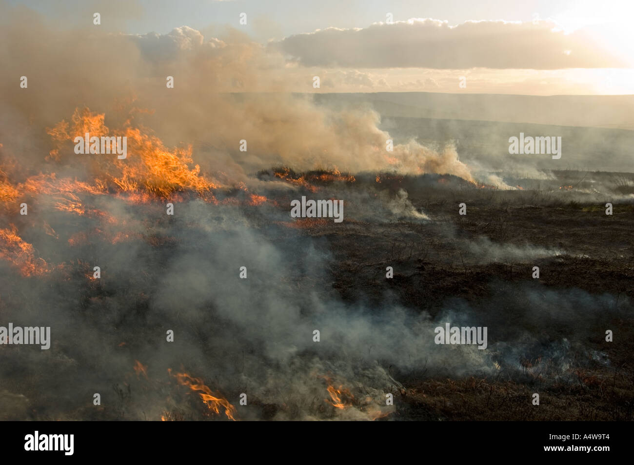 Moors fires hi-res stock photography and images - Alamy