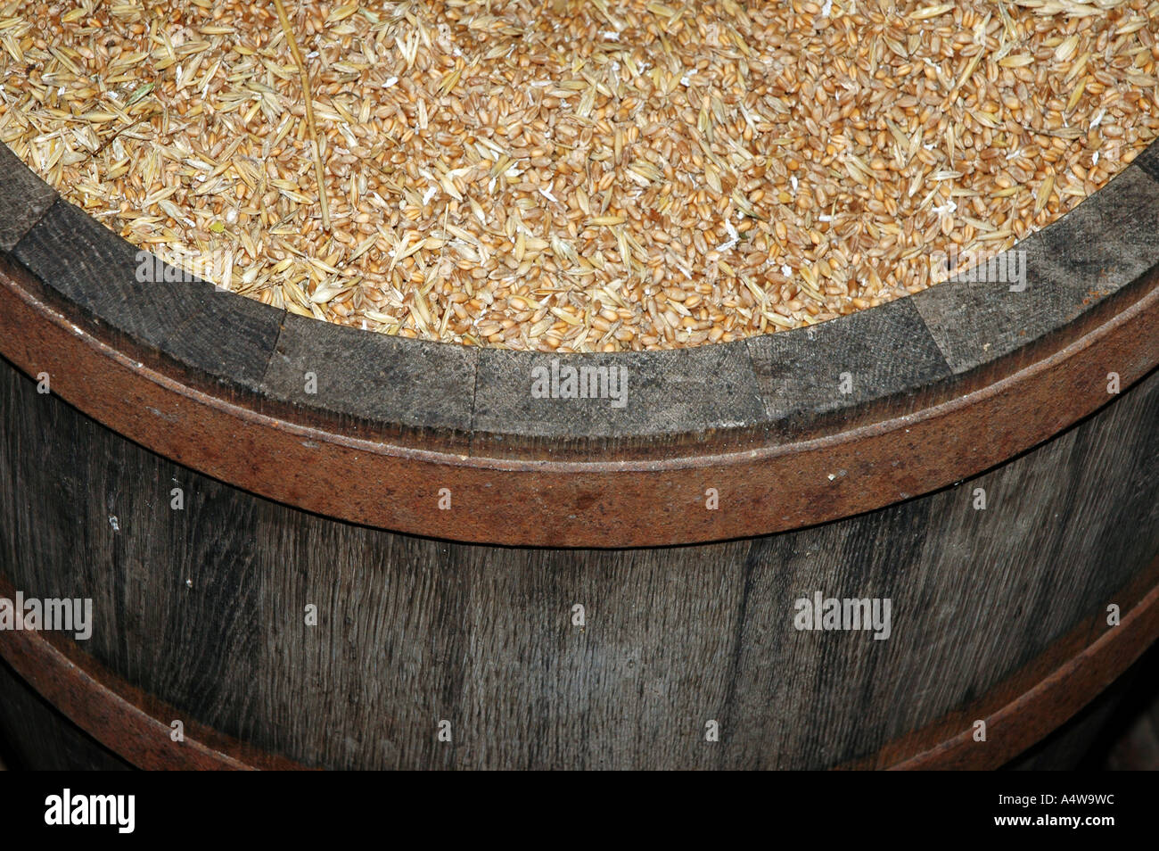 grain in wooden barrel Stock Photo - Alamy