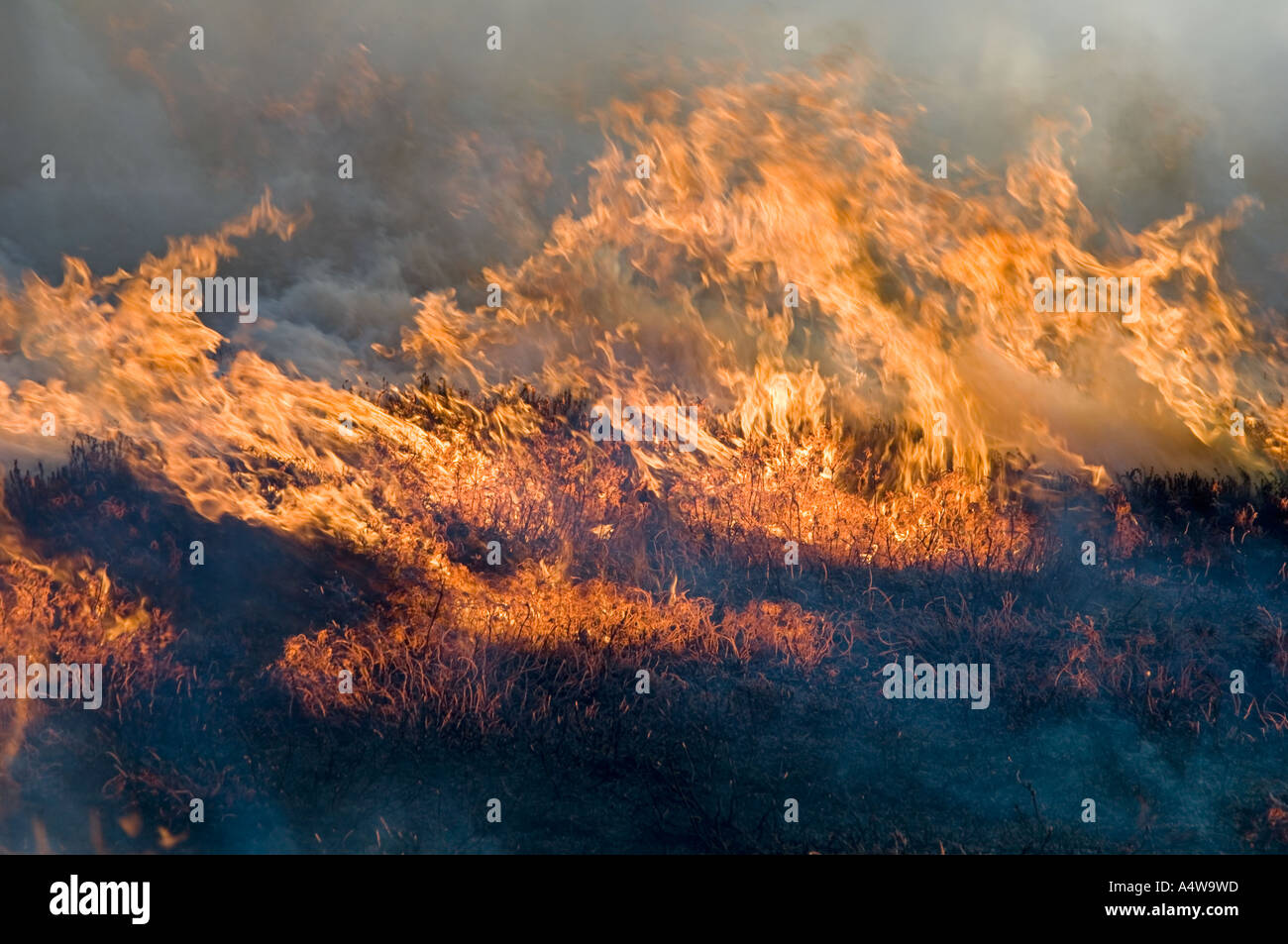 Flaming guns hi-res stock photography and images - Alamy