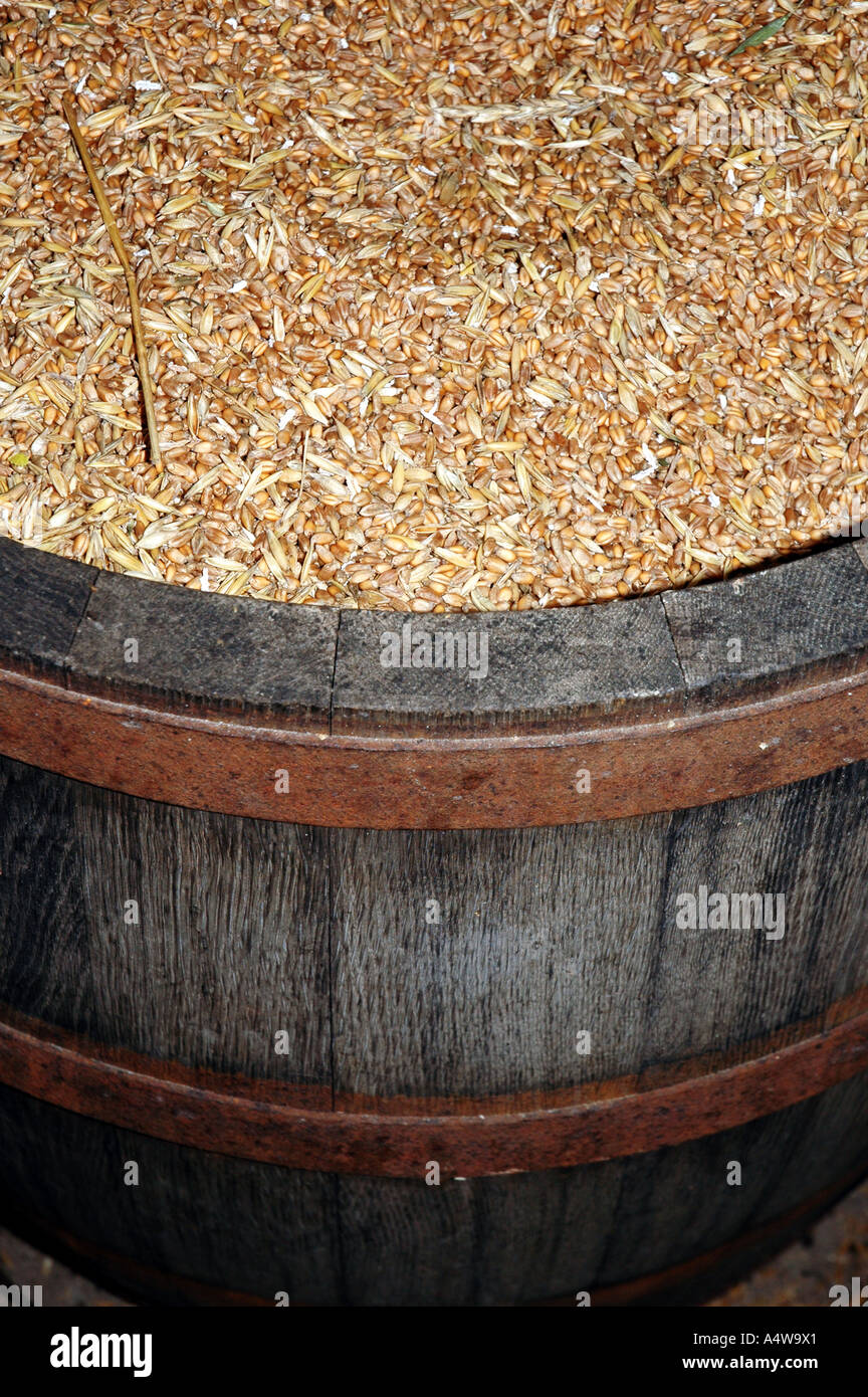 grain in wooden barrel Stock Photo - Alamy