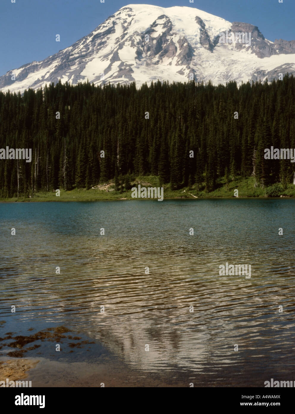 USA. Washington state. Mount Rainier Stock Photo - Alamy