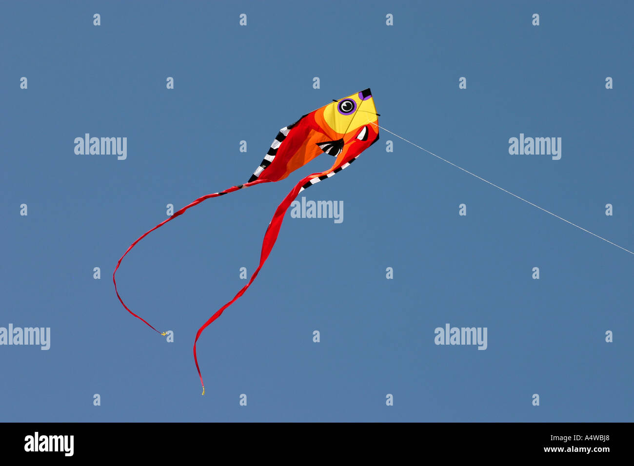 Kite fish hi-res stock photography and images - Alamy