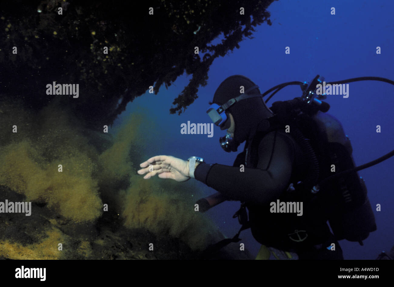 Underwater dust hi-res stock photography and images - Alamy