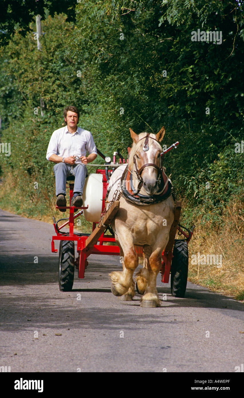 Charlie Pinney, Devon farmer Stock Photo - Alamy