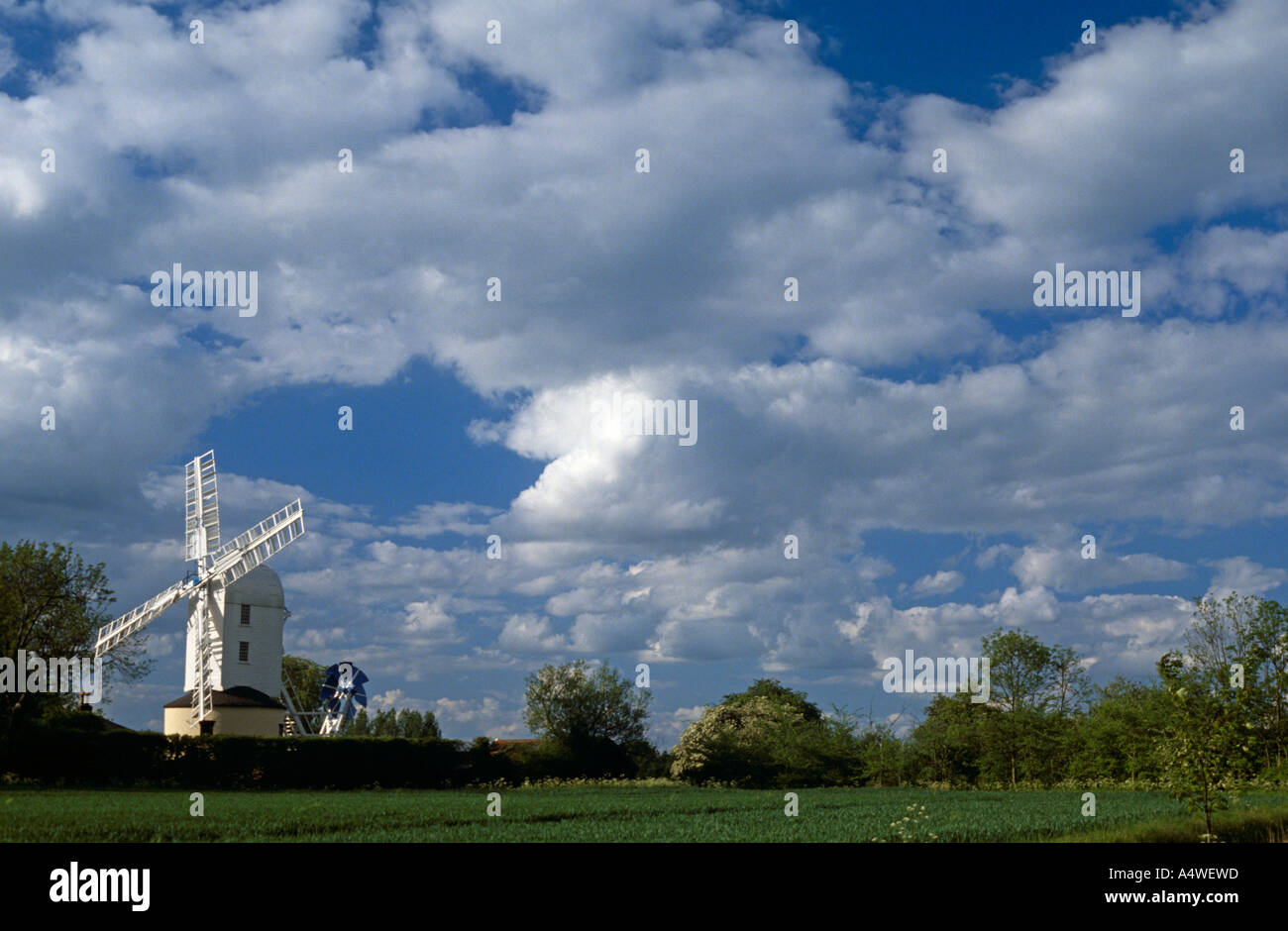 Saxtead green windmill hi-res stock photography and images - Alamy