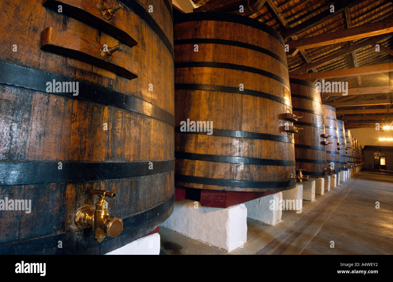 Wine vats, Chateau Margaux, Bordeaux Stock Photo - Alamy