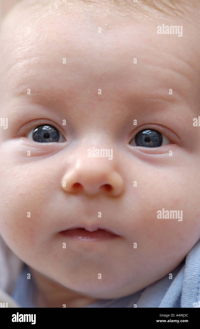 Little baby portrait Stock Photo - Alamy