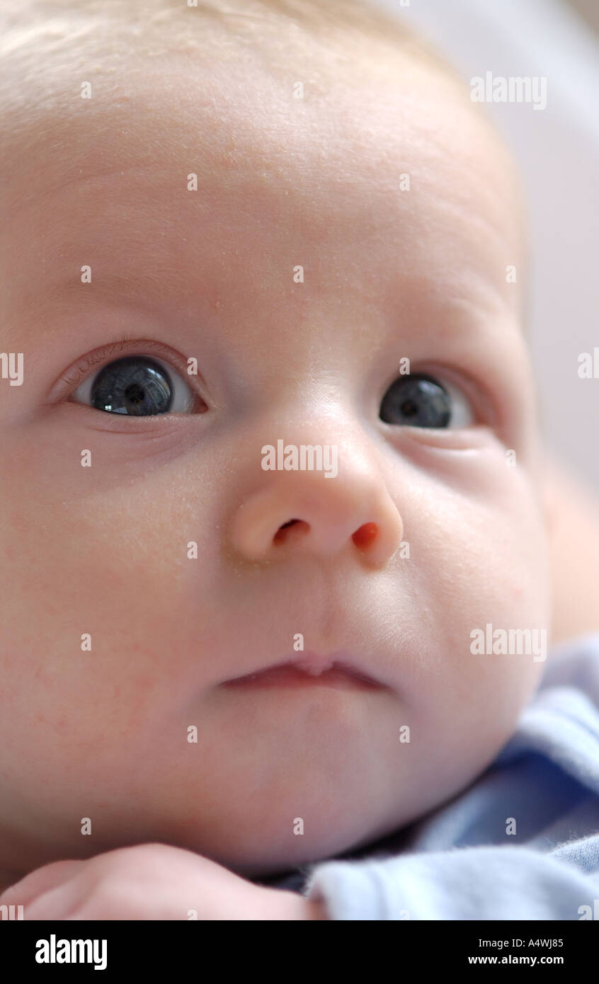 Little baby portrait Stock Photo - Alamy