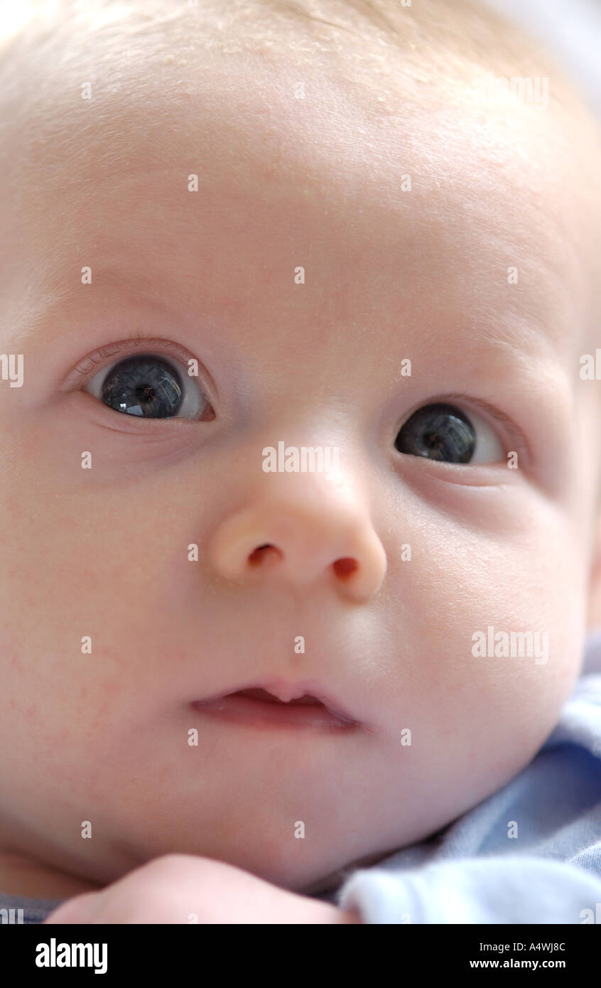 Little baby portrait Stock Photo - Alamy