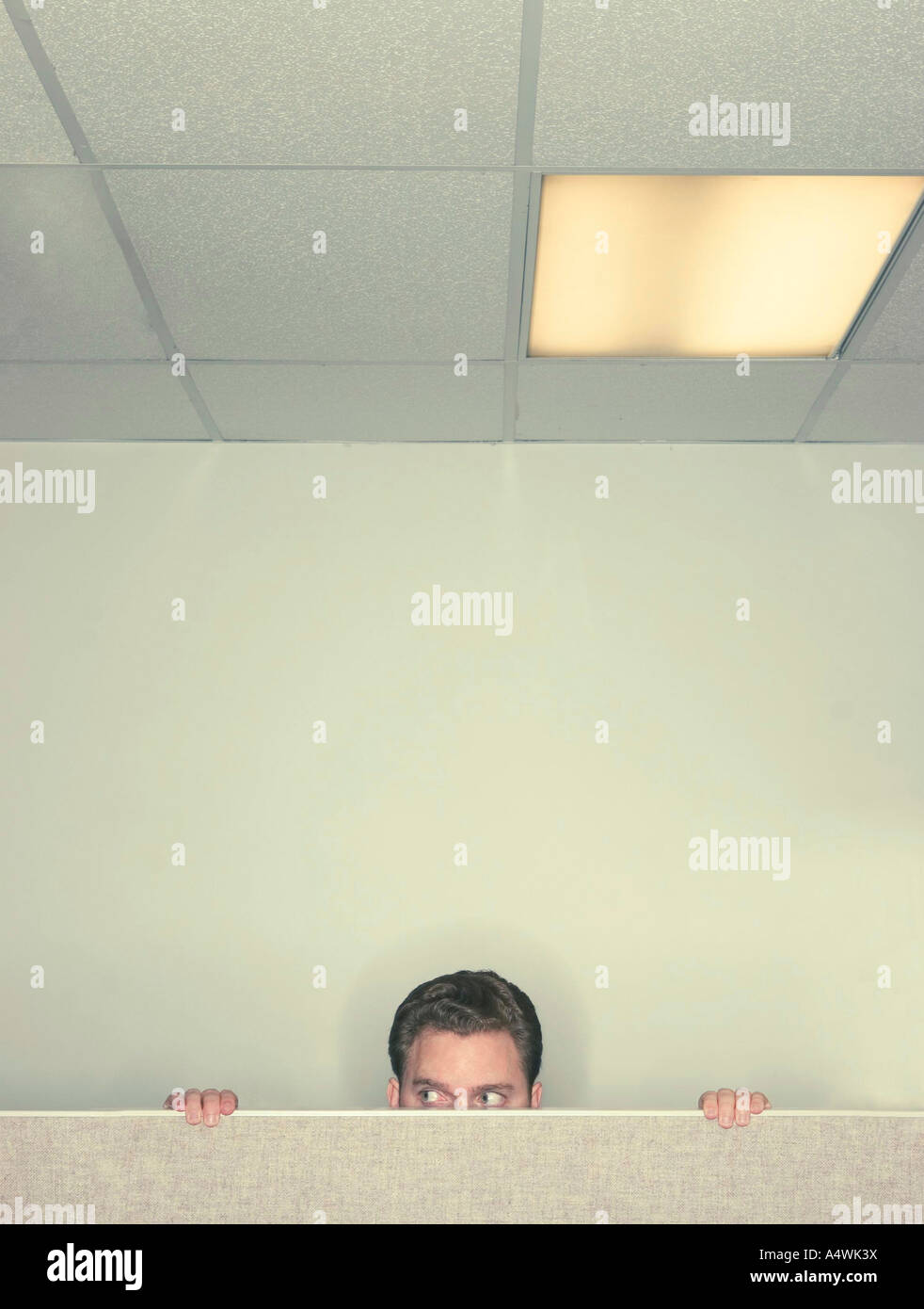 Businessman has his hands over a cubical wall with his eyes peeking ...