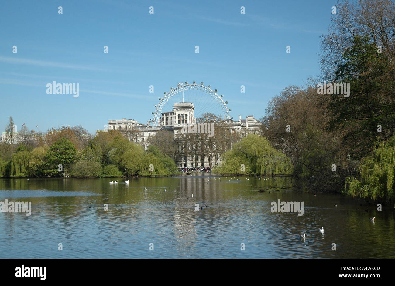 St James Park and the London Eye London England Stock Photo - Alamy